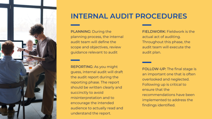 INTERNAL AUDITING 101 | Velvet Dice